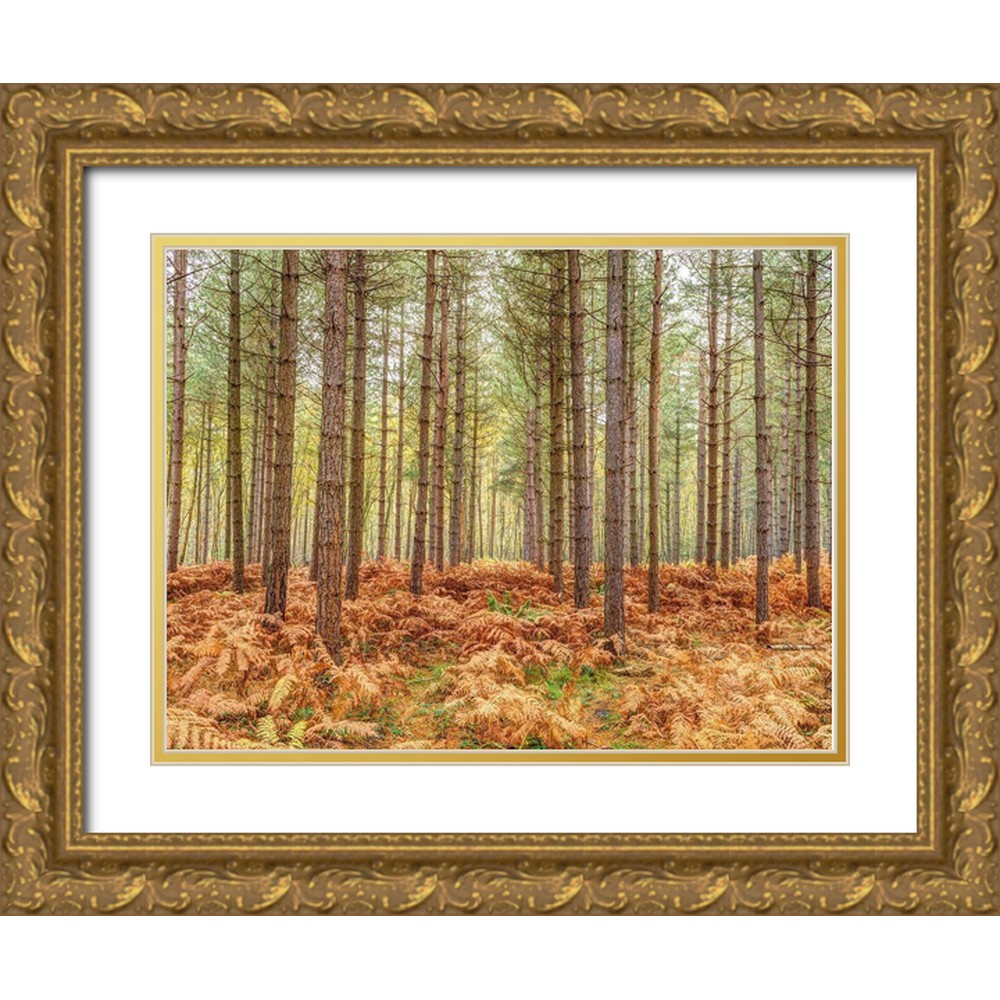 Frank, Assaf 14x12 Gold Ornate Wood Framed with Double Matting Museum ...