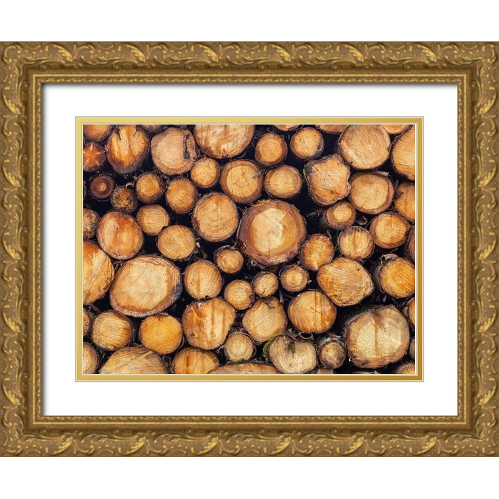 Frank, Assaf 14x12 Gold Ornate Wood Framed with Double Matting Museum ...