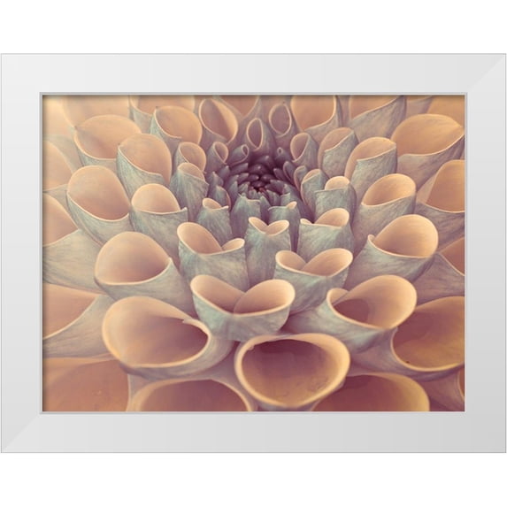 Frank, Assaf 14x12 White Modern Wood Framed Museum Art Print Titled ...