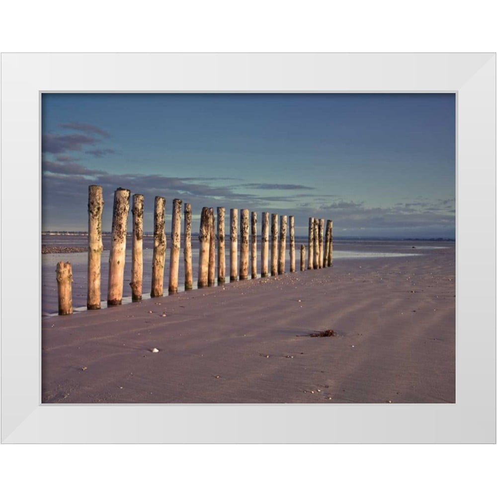 Frank, Assaf 14x12 White Modern Wood Framed Museum Art Print Titled ...