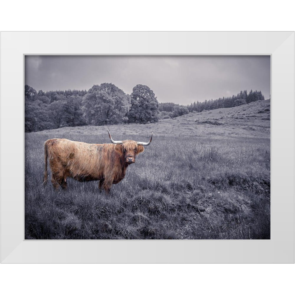 Frank, Assaf 14x12 White Modern Wood Framed Museum Art Print Titled ...
