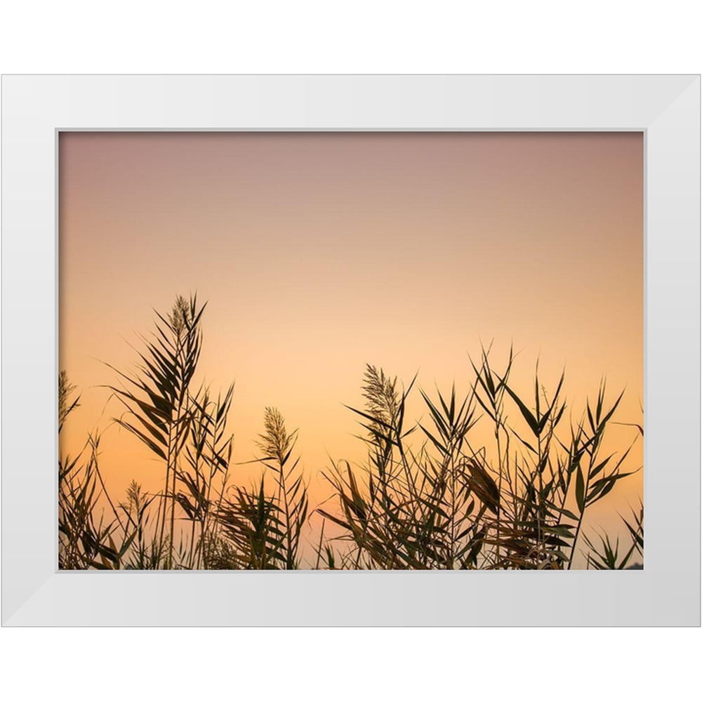 Frank, Assaf 14x12 White Modern Wood Framed Museum Art Print Titled ...