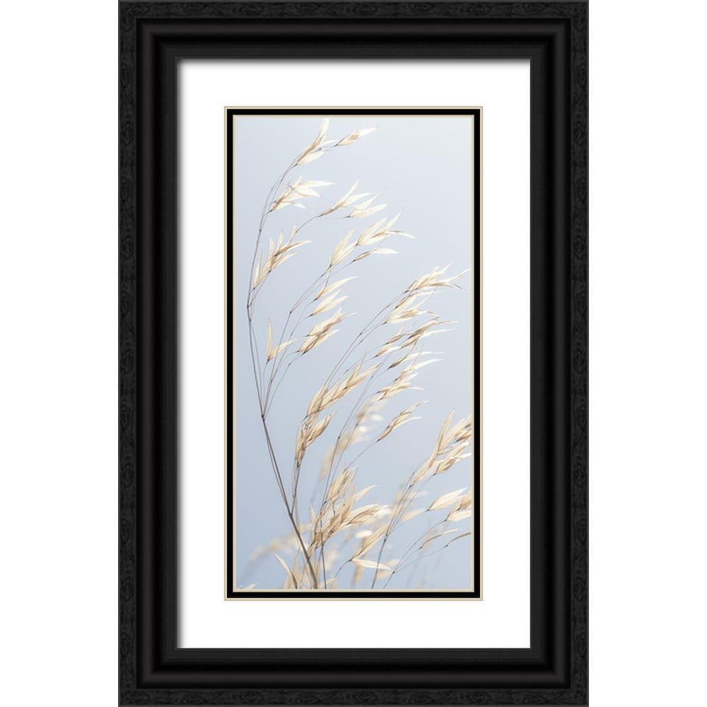 Frank, Assaf 14x24 Black Ornate Wood Framed with Double Matting Museum ...