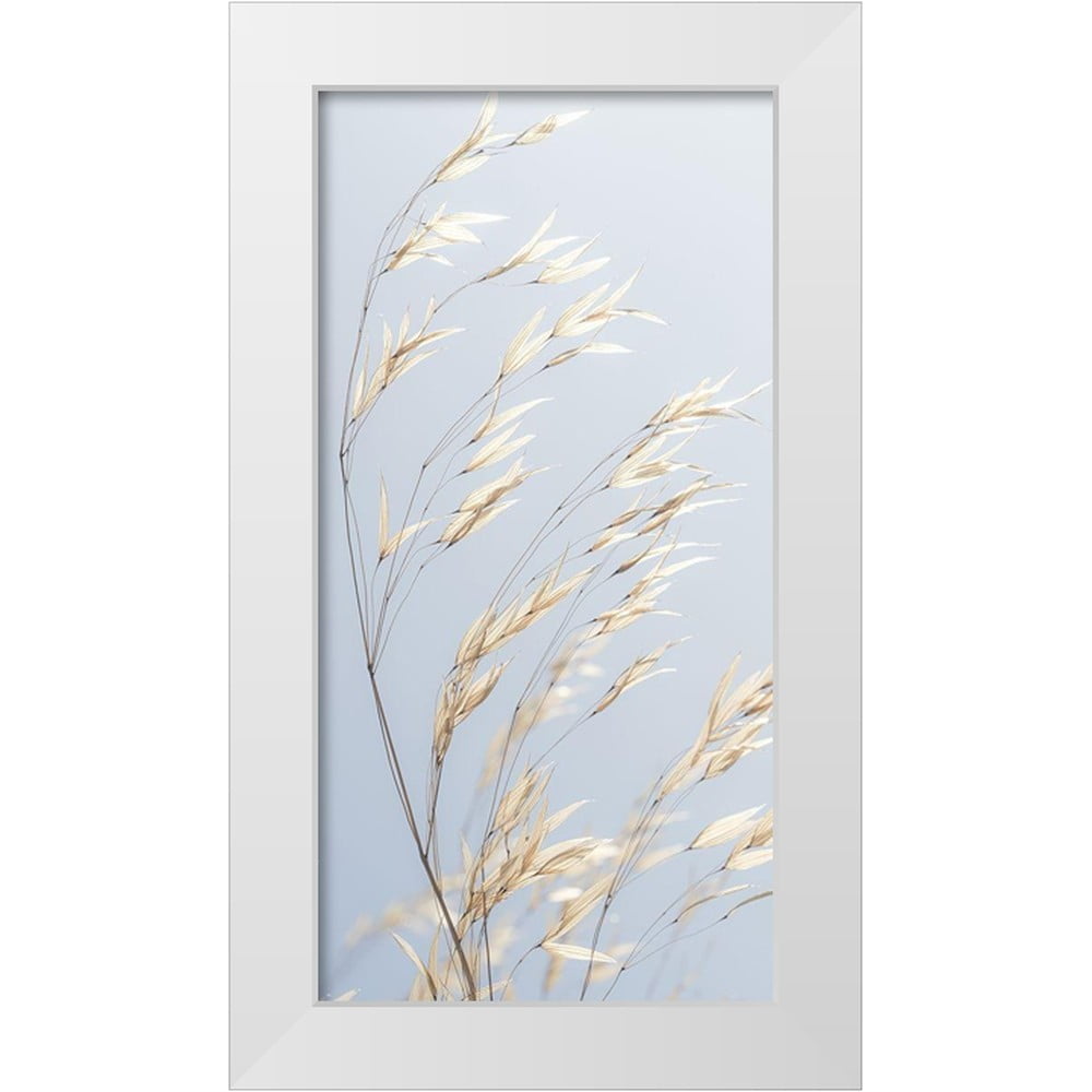 Frank, Assaf 14x24 White Modern Wood Framed Museum Art Print Titled ...