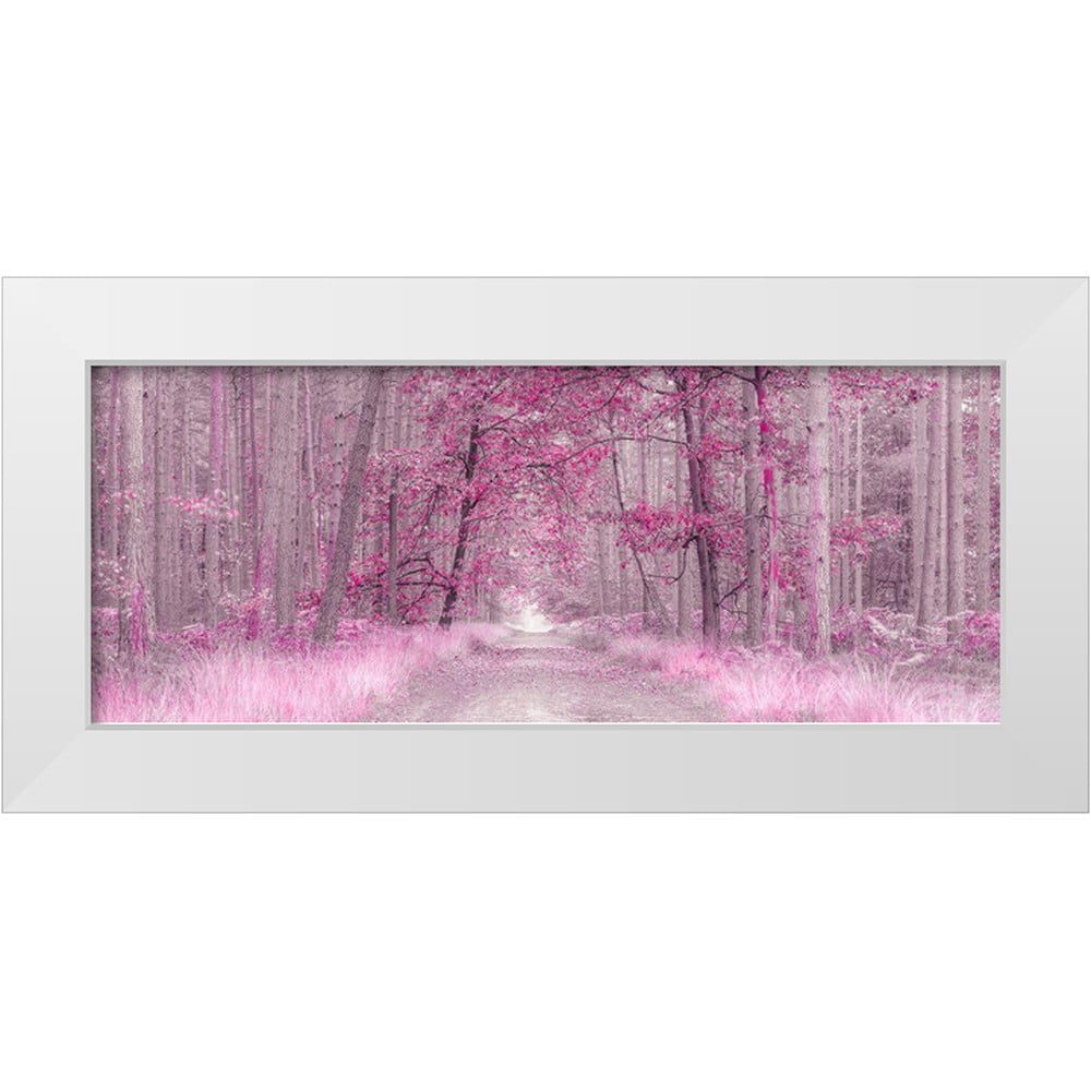 Frank, Assaf 14x8 White Modern Wood Framed Museum Art Print Titled ...