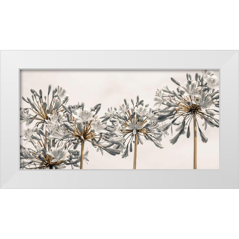 Frank, Assaf 14x9 White Modern Wood Framed Museum Art Print Titled ...