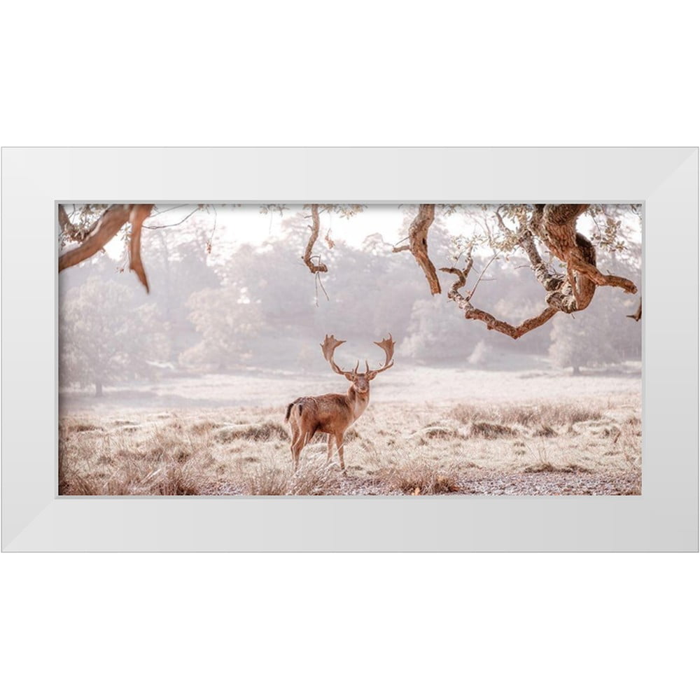 Frank, Assaf 14x9 White Modern Wood Framed Museum Art Print Titled ...