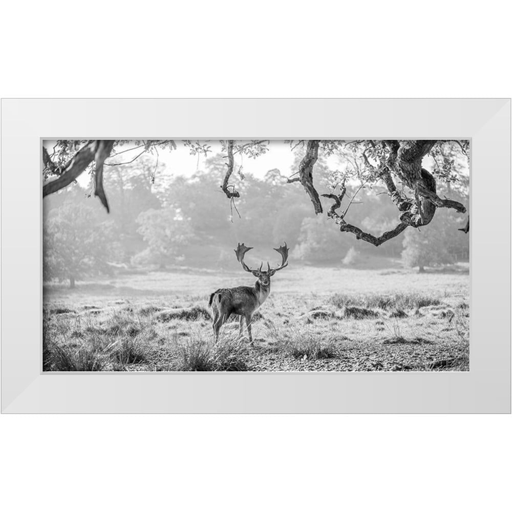 Frank, Assaf 14x9 White Modern Wood Framed Museum Art Print Titled ...