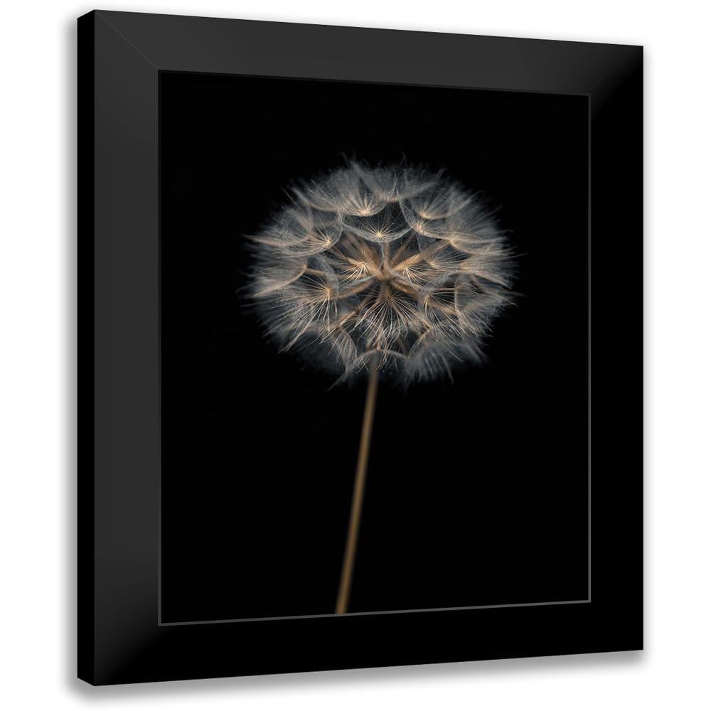 Frank, Assaf 15x18 Black Modern Framed Museum Art Print Titled ...