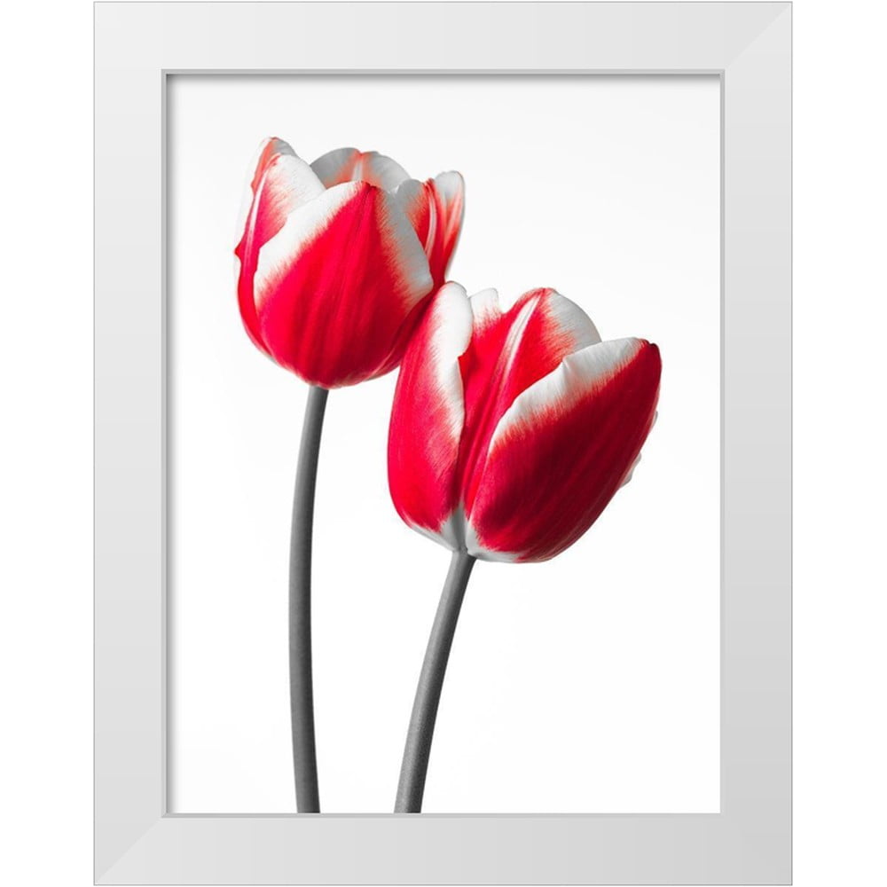 Frank, Assaf 15x18 White Modern Wood Framed Museum Art Print Titled ...