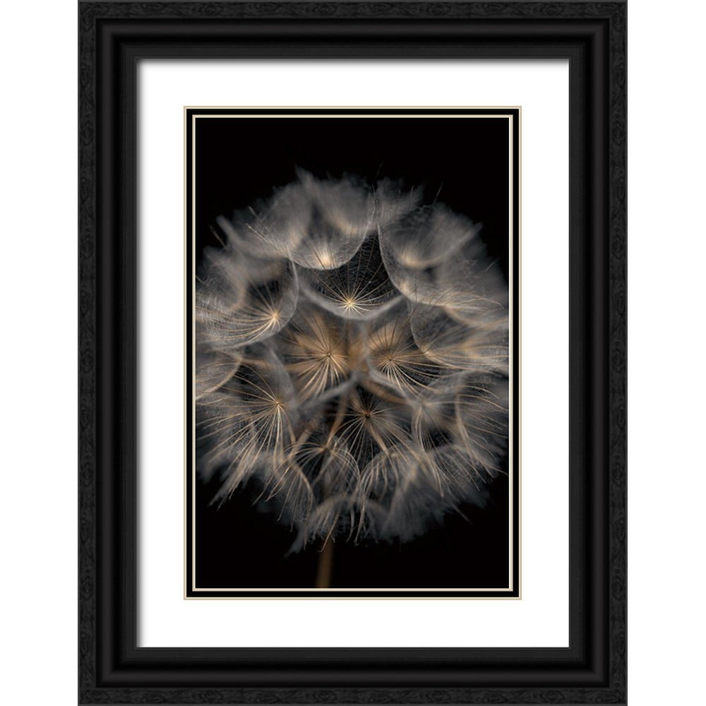 Frank, Assaf 17x24 Black Ornate Wood Framed with Double Matting Museum Art Print Titled ...