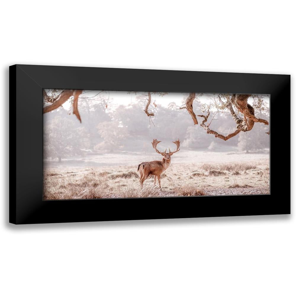 Frank, Assaf 18x11 Black Modern Framed Museum Art Print Titled - Stag ...