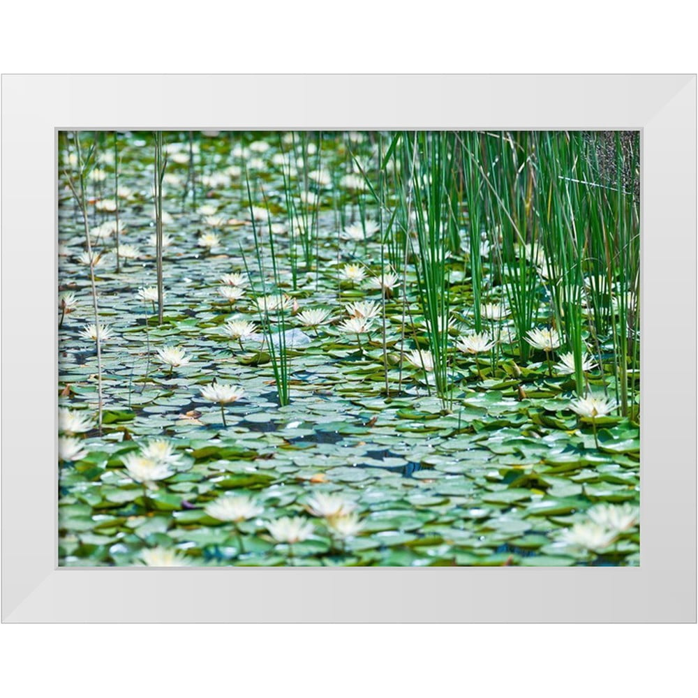 Frank, Assaf 18x15 White Modern Wood Framed Museum Art Print Titled ...