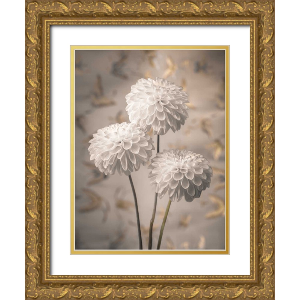 Frank, Assaf 19x24 Gold Ornate Wood Framed with Double Matting Museum ...