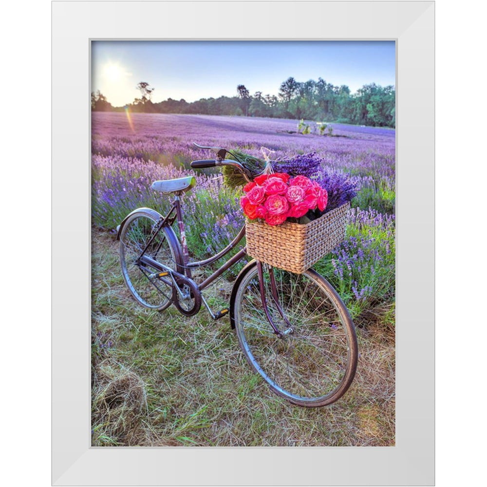 Frank, Assaf 19x24 White Modern Wood Framed Museum Art Print Titled - Bicycle with flowers in a ...