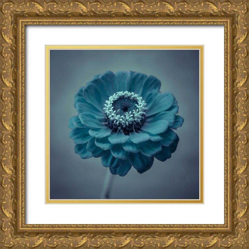 Frank, Assaf 20x20 Gold Ornate Wood Framed with Double Matting Museum ...