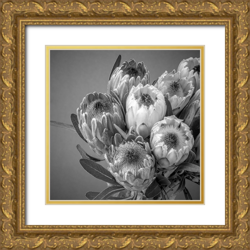 Frank, Assaf 20x20 Gold Ornate Wood Framed with Double Matting Museum ...