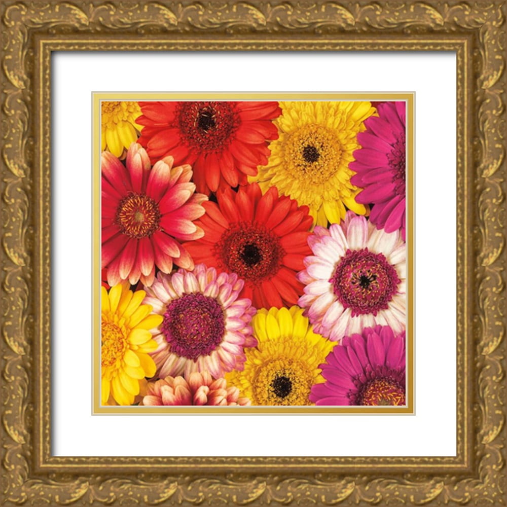 Frank, Assaf 20x20 Gold Ornate Wood Framed with Double Matting Museum ...
