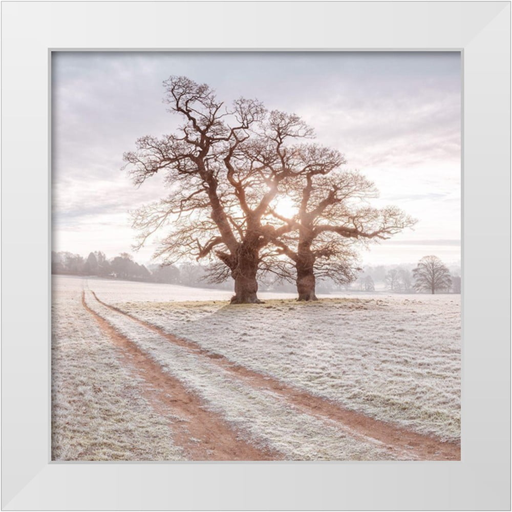 Frank, Assaf 20x20 White Modern Wood Framed Museum Art Print Titled ...