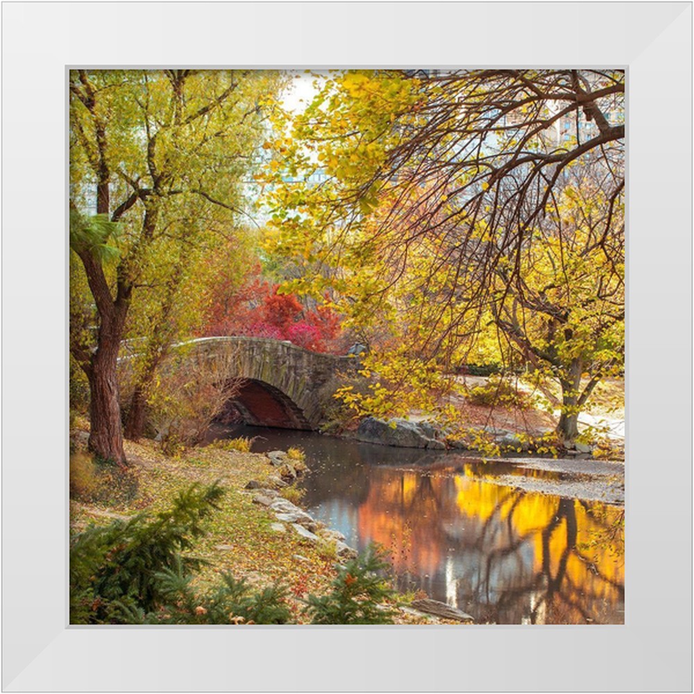 Frank, Assaf 20x20 White Modern Wood Framed Museum Art Print Titled ...