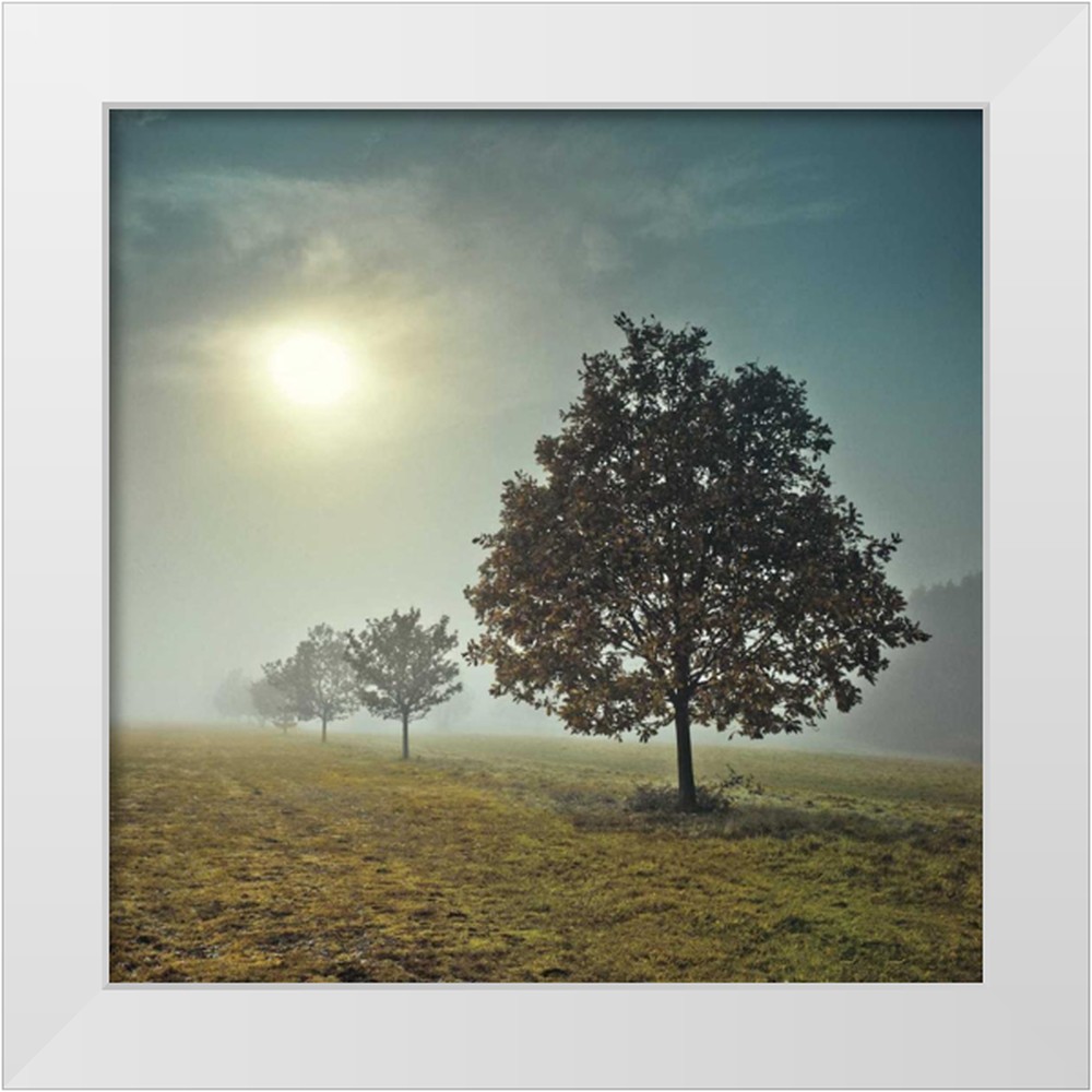 Frank, Assaf 20x20 White Modern Wood Framed Museum Art Print Titled ...