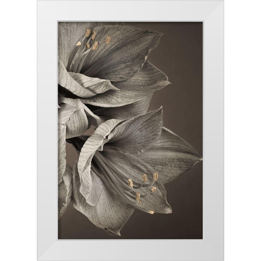 Frank, Assaf 23x32 White Modern Wood Framed Museum Art Print Titled ...