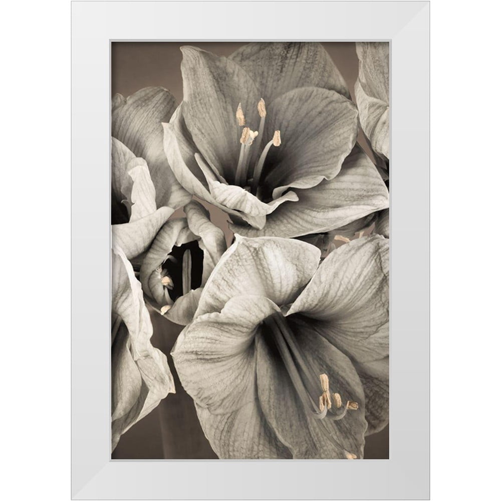 Frank, Assaf 23x32 White Modern Wood Framed Museum Art Print Titled ...