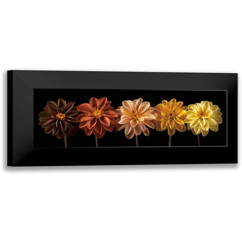 Frank, Assaf 24x11 Black Modern Framed Museum Art Print Titled - Floral ...