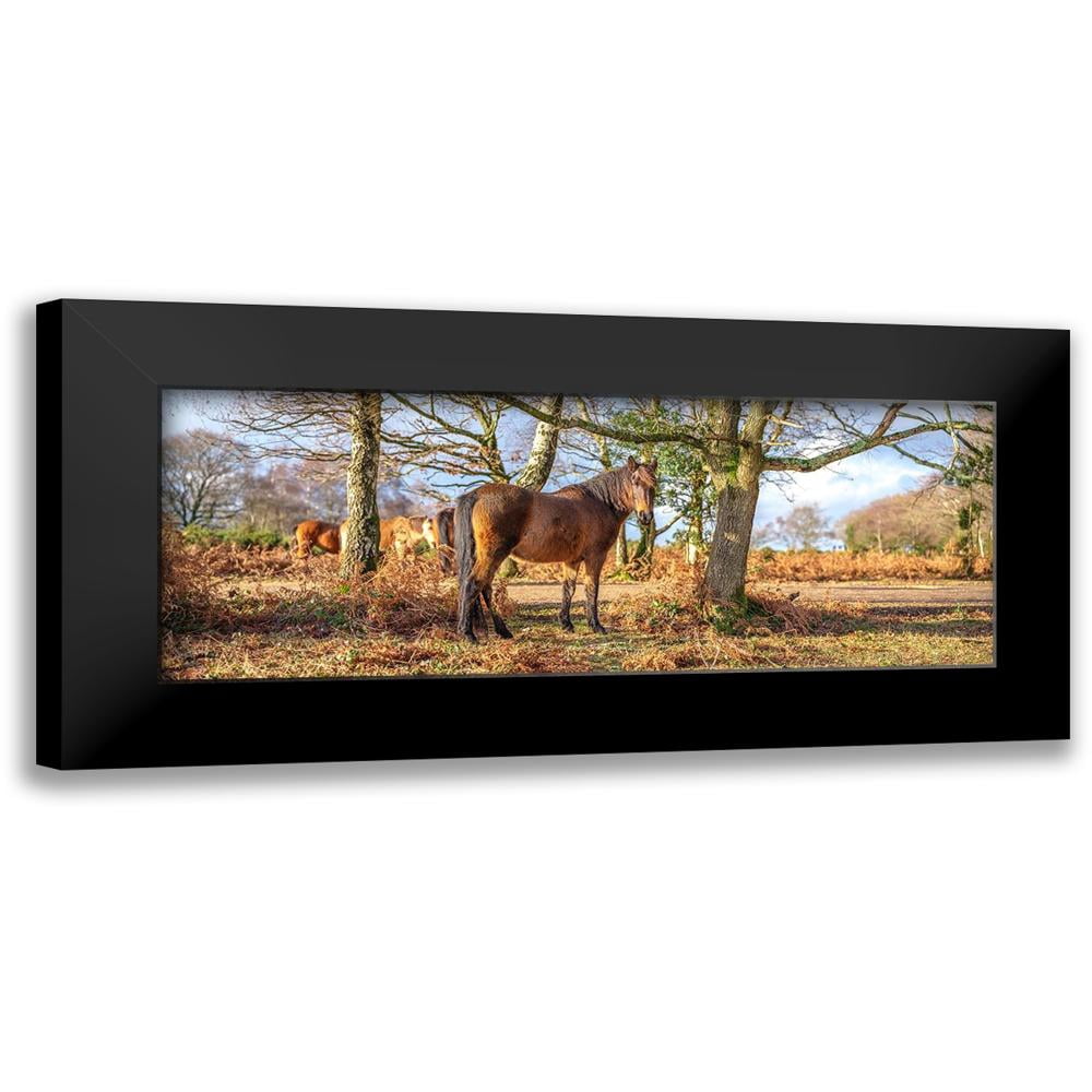Frank, Assaf 24x11 Black Modern Framed Museum Art Print Titled - Horse ...