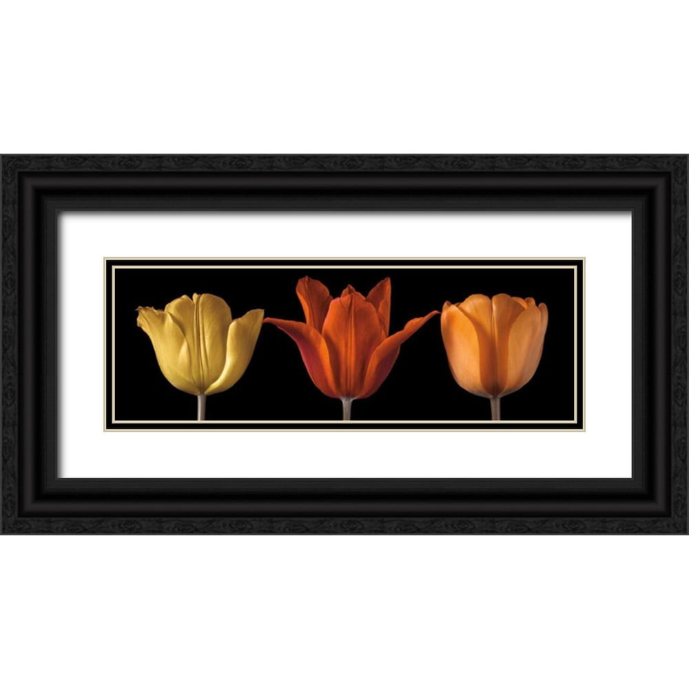 Frank, Assaf 24x11 Black Ornate Wood Framed with Double Matting Museum Art Print Titled ...