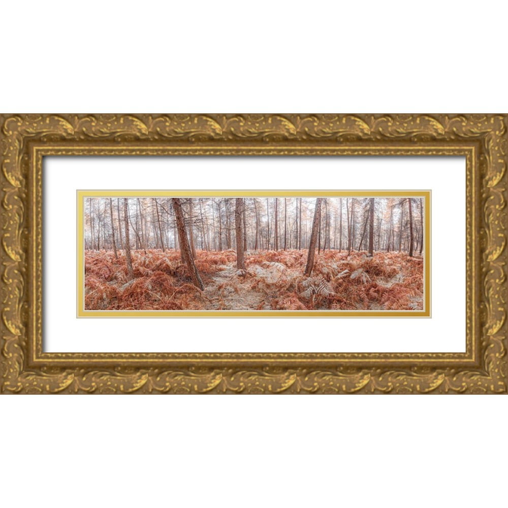 Frank, Assaf 24x11 Gold Ornate Wood Framed with Double Matting Museum ...
