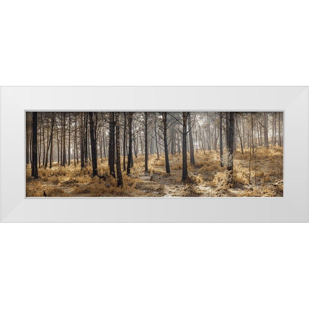 Frank, Assaf 24x11 White Modern Wood Framed Museum Art Print Titled ...
