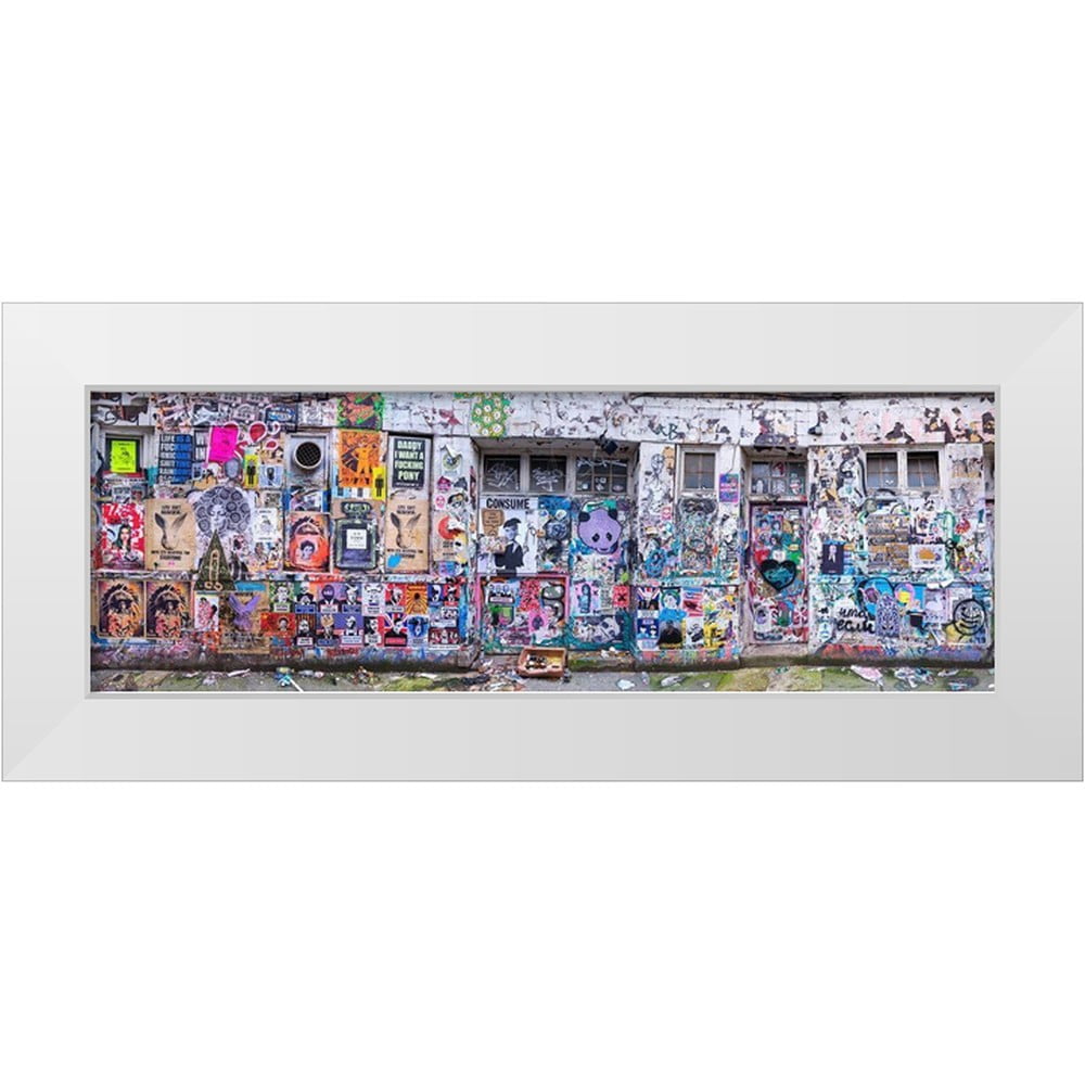 Frank, Assaf 24x11 White Modern Wood Framed Museum Art Print Titled ...