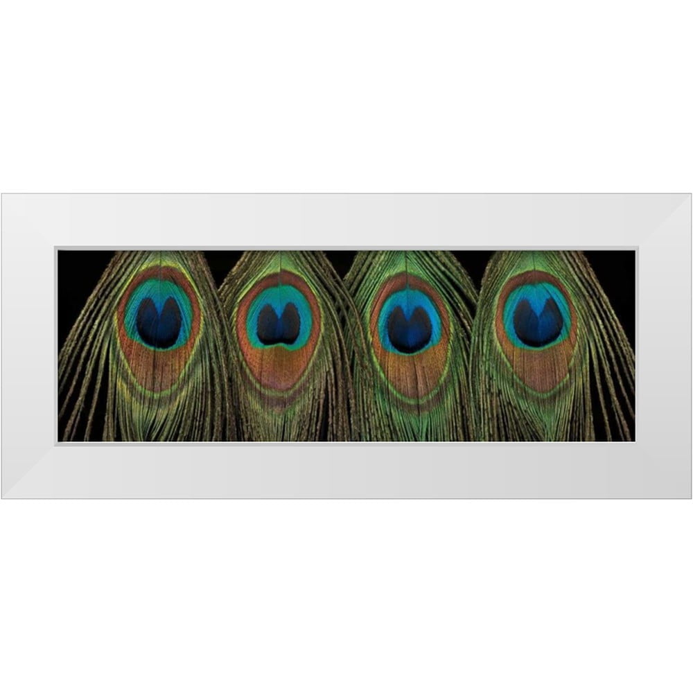 Frank, Assaf 24x11 White Modern Wood Framed Museum Art Print Titled ...