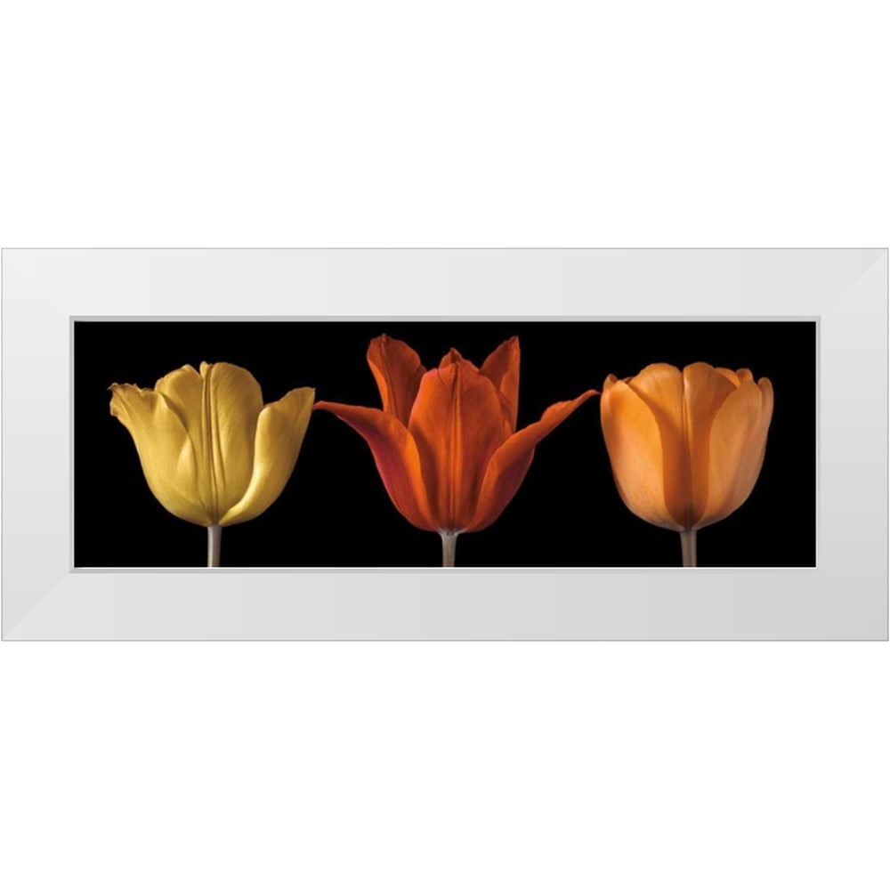 Frank, Assaf 24x11 White Modern Wood Framed Museum Art Print Titled - Sunshine Stance - Walmart.com