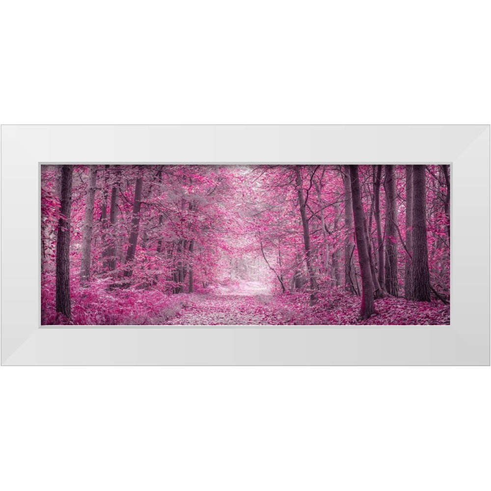 Frank, Assaf 24x12 White Modern Wood Framed Museum Art Print Titled ...