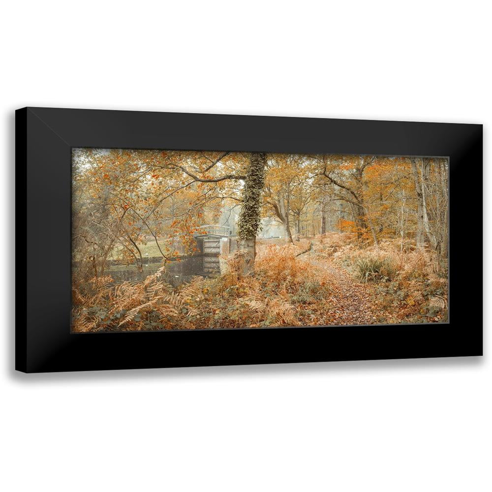 Frank, Assaf 24x14 Black Modern Framed Museum Art Print Titled - Canal ...