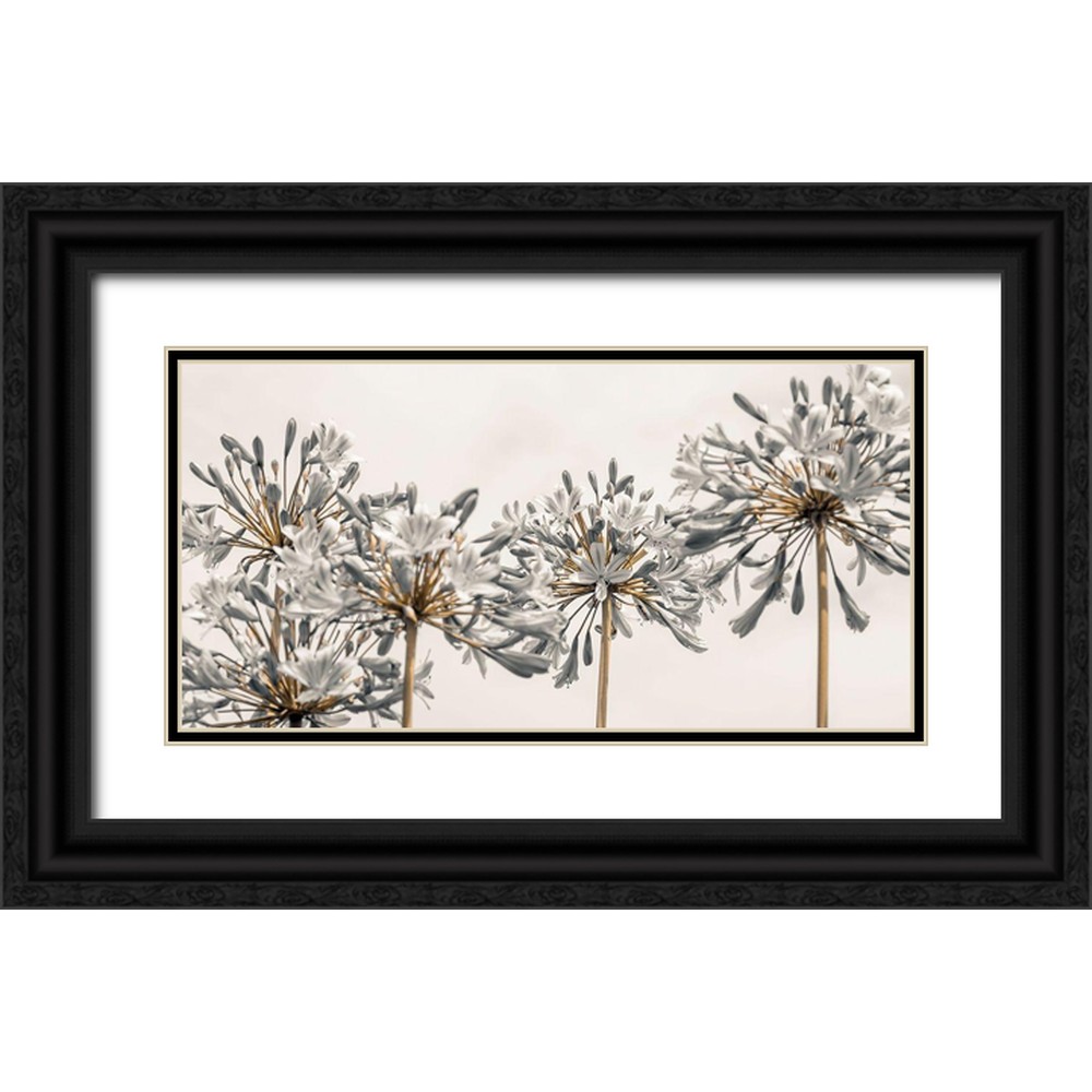 Frank, Assaf 24x14 Black Ornate Wood Framed with Double Matting Museum ...