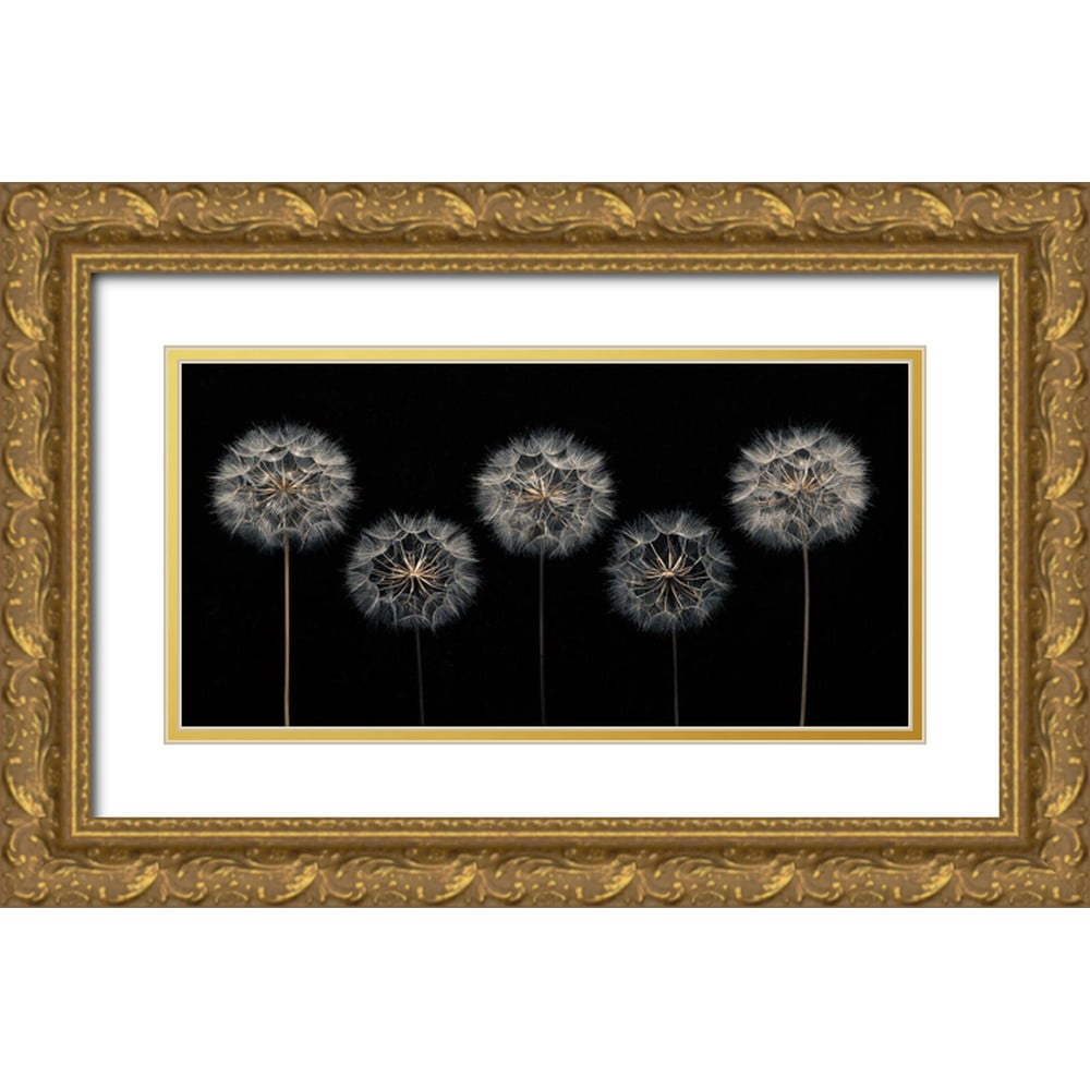Frank, Assaf 24x14 Gold Ornate Wood Framed with Double Matting Museum ...