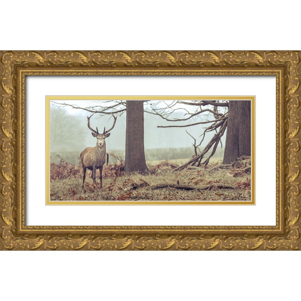 Frank, Assaf 24x14 Gold Ornate Wood Framed with Double Matting Museum ...