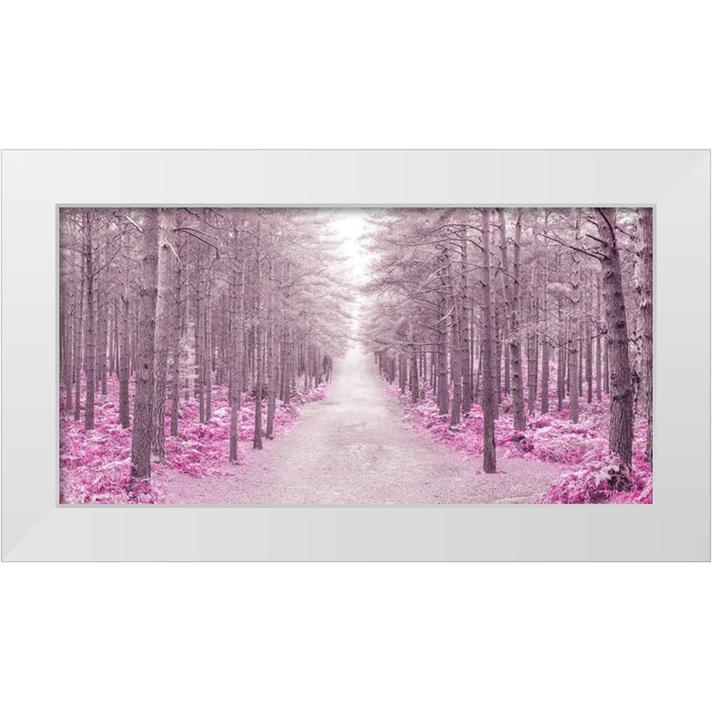 Frank, Assaf 24x14 White Modern Wood Framed Museum Art Print Titled ...