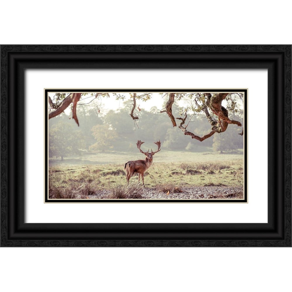 Frank, Assaf 24x15 Black Ornate Wood Framed with Double Matting Museum ...
