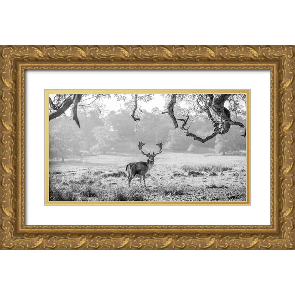 Frank, Assaf 24x15 Gold Ornate Wood Framed with Double Matting Museum ...