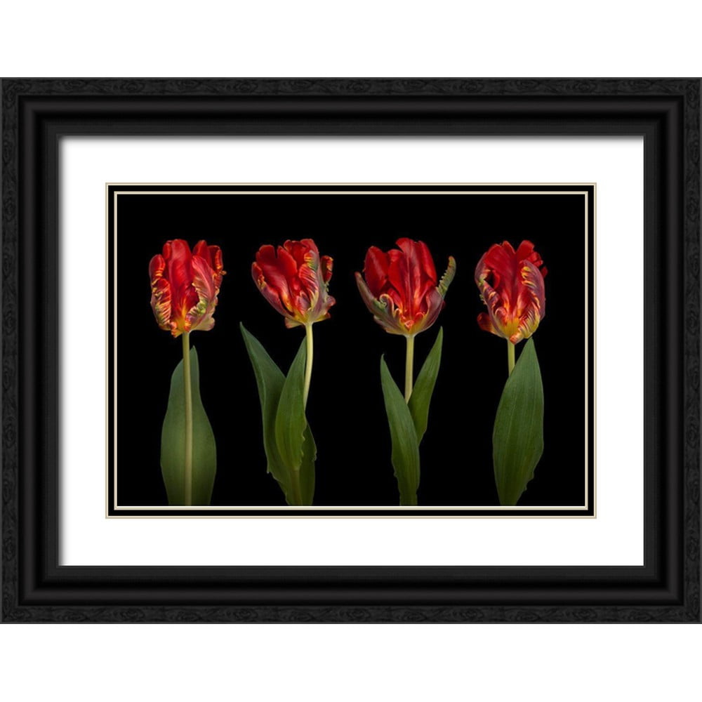 Frank, Assaf 24x17 Black Ornate Wood Framed with Double Matting Museum ...