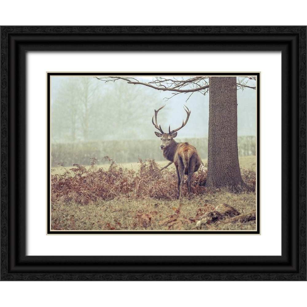 Frank, Assaf 24x19 Black Ornate Wood Framed with Double Matting Museum ...