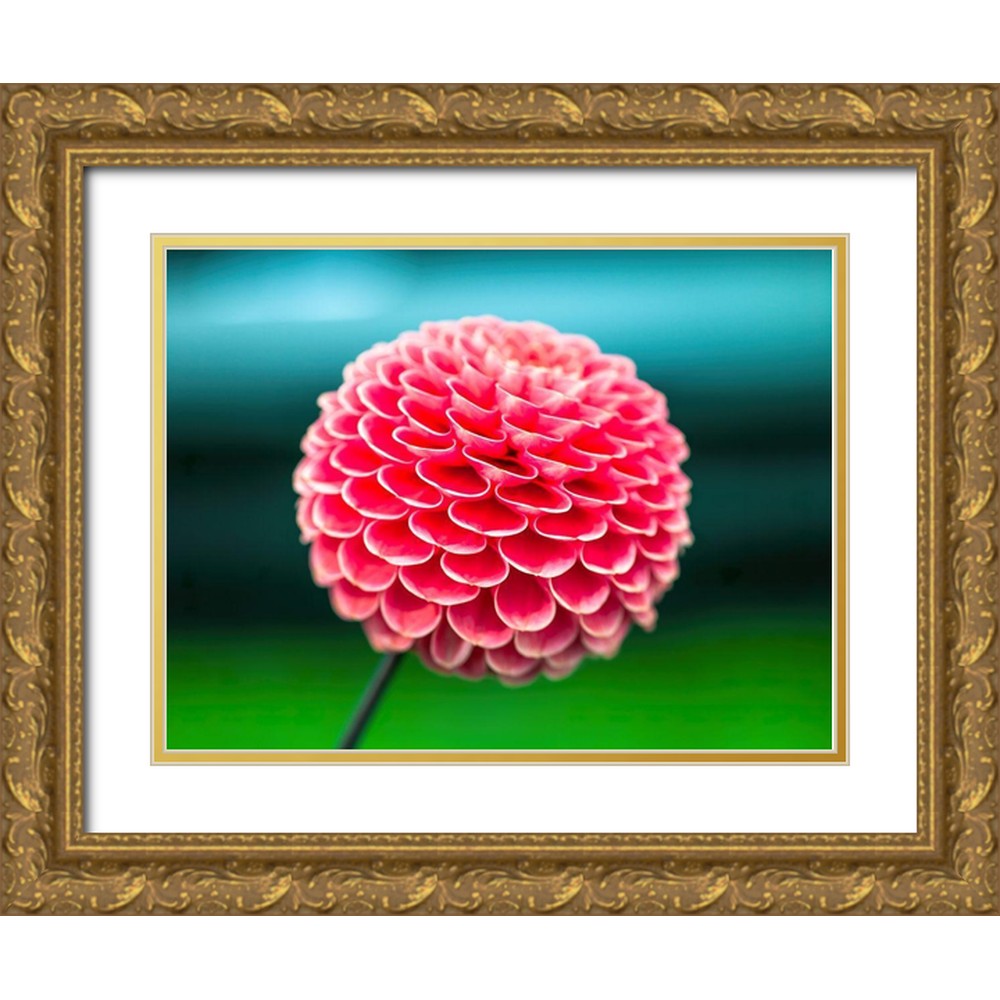 Frank, Assaf 24x19 Gold Ornate Wood Framed with Double Matting Museum ...