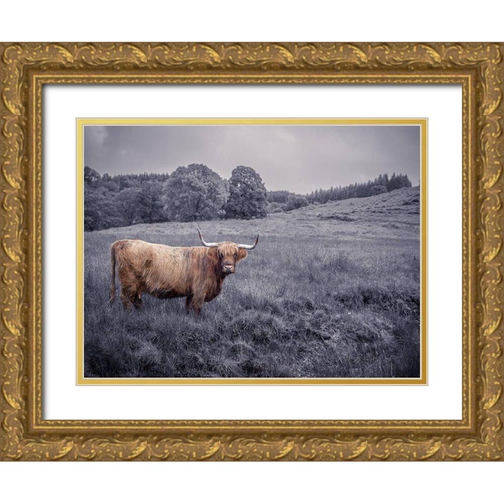 Frank, Assaf 24x19 Gold Ornate Wood Framed with Double Matting Museum ...