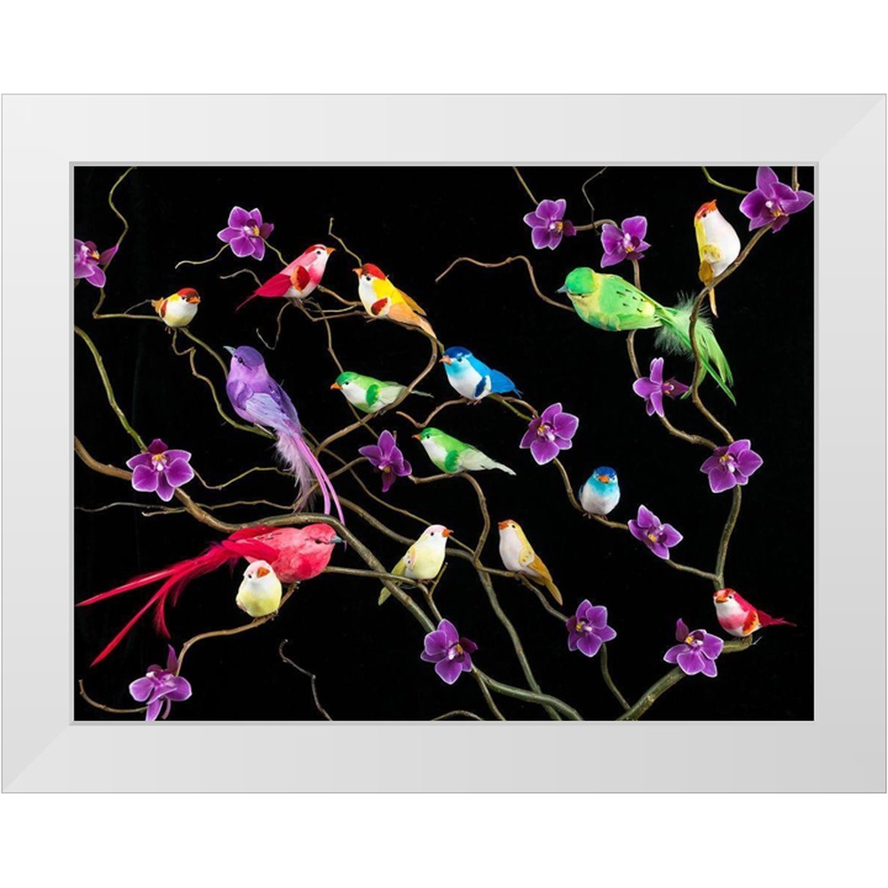 Frank, Assaf 24x19 White Modern Wood Framed Museum Art Print Titled ...