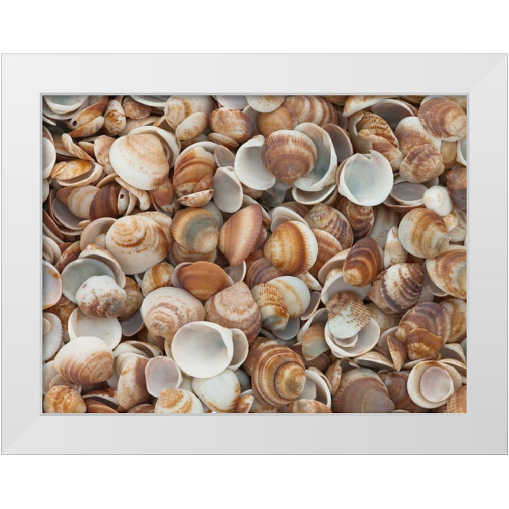 Frank, Assaf 24x19 White Modern Wood Framed Museum Art Print Titled ...