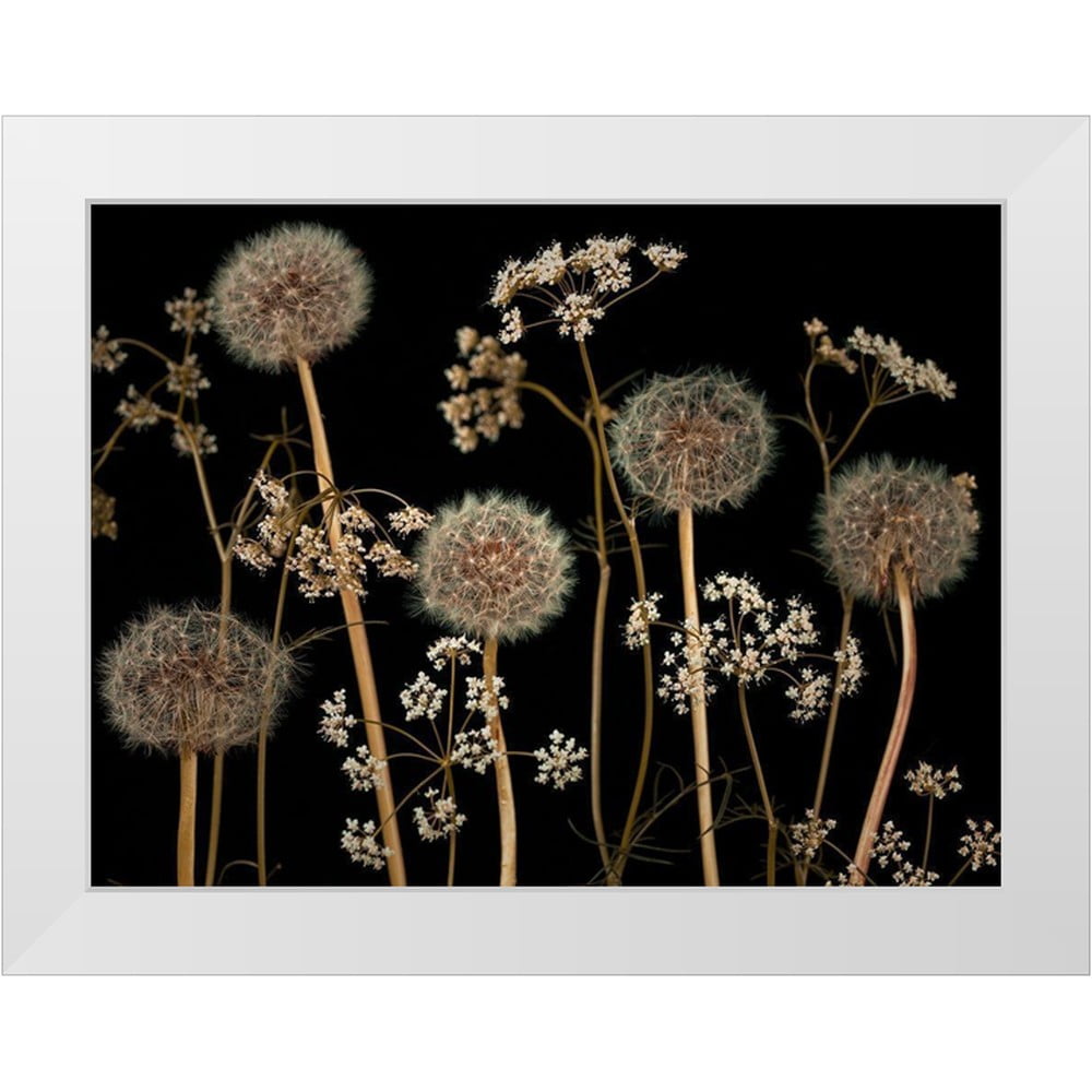 Frank, Assaf 24x19 White Modern Wood Framed Museum Art Print Titled ...